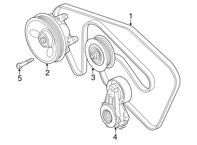 Engine Drive Belt