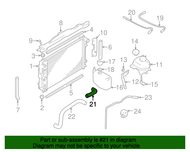 Top Radiator Hose